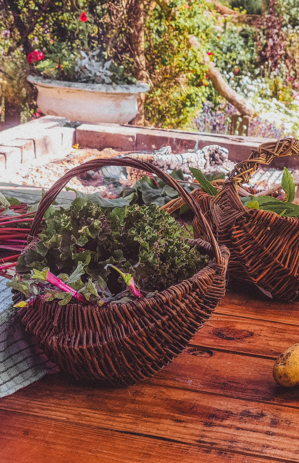 Frame Basket Workshop – Symondsbury Estate