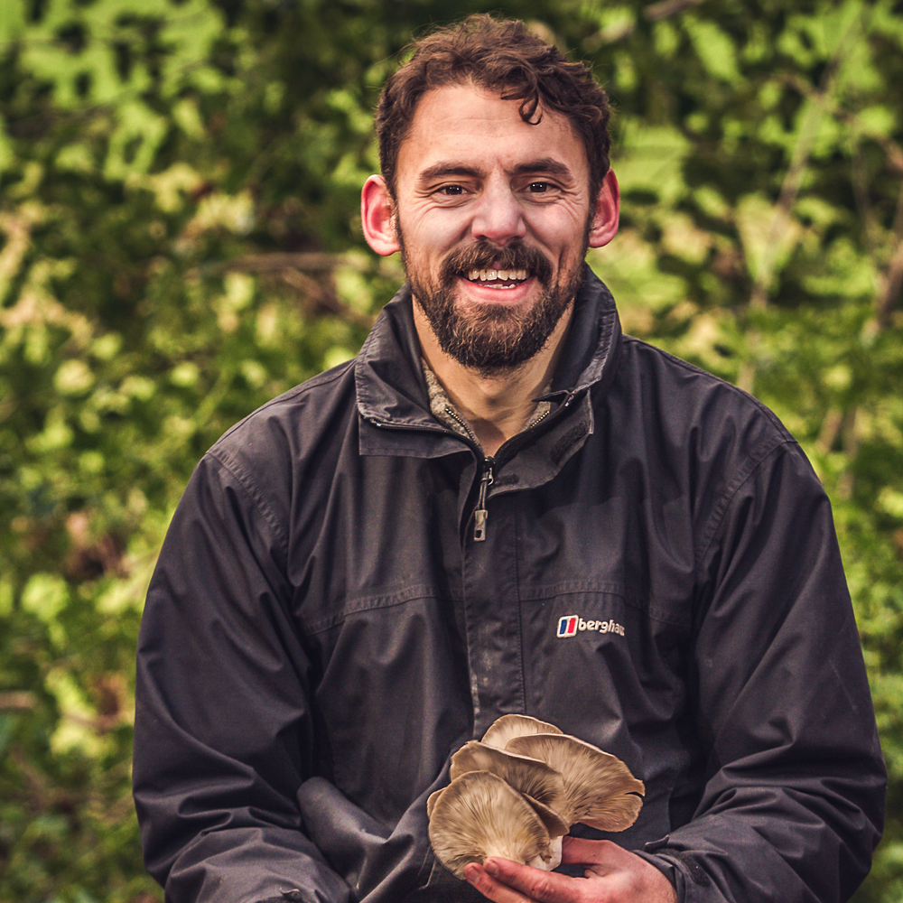 Mushroom Foraging Walk with Nick Phillips 2025 – Symondsbury Estate
